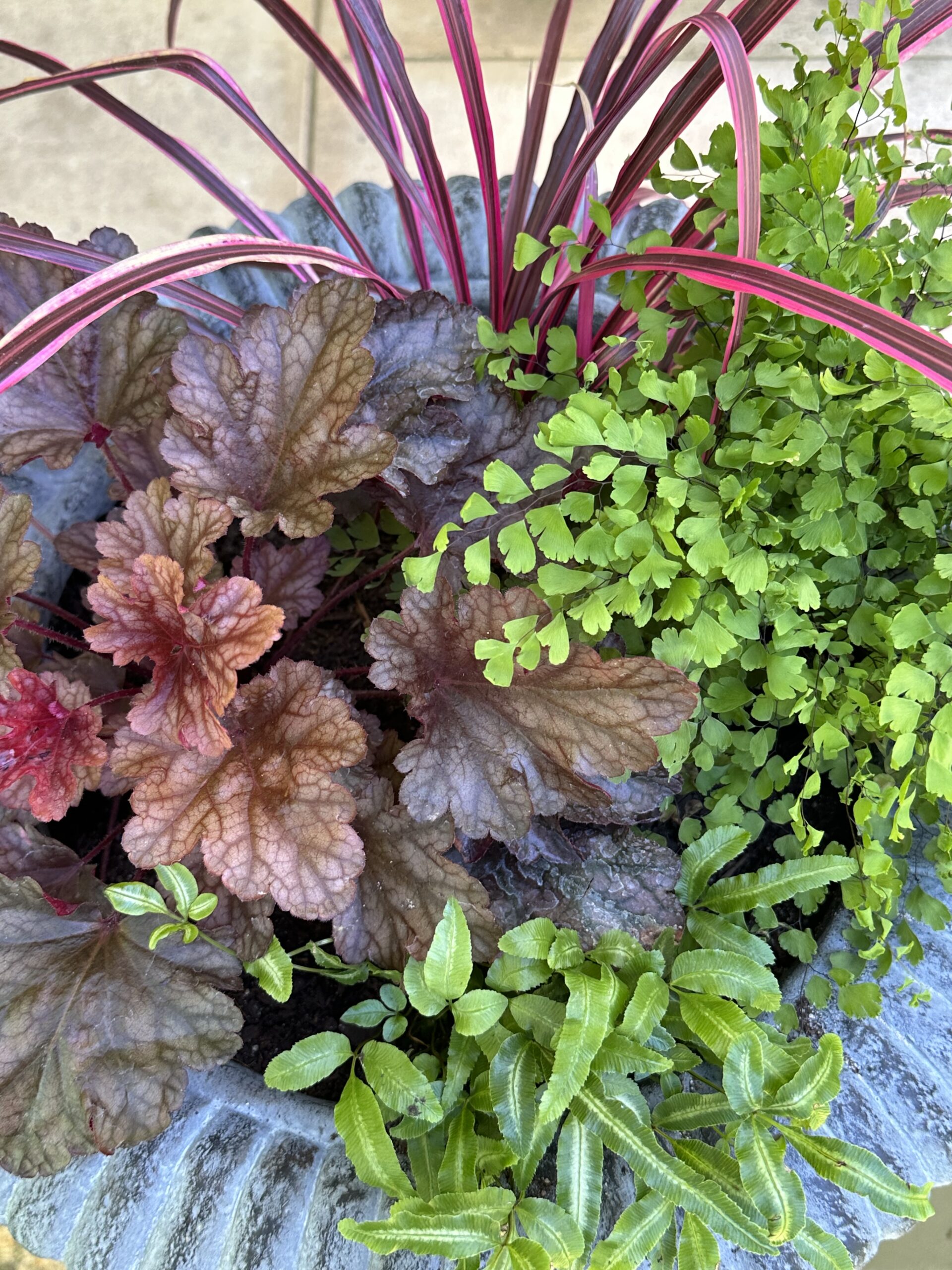 Making a New Entry Statement - Andrea Whitely Garden Consultant